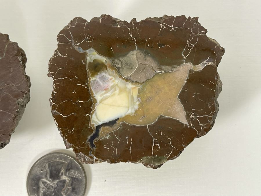 Polished Geode Halves