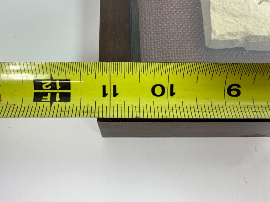 Antique Shadowbox Framed Fish Fossil 11W X 9H X 1.75D