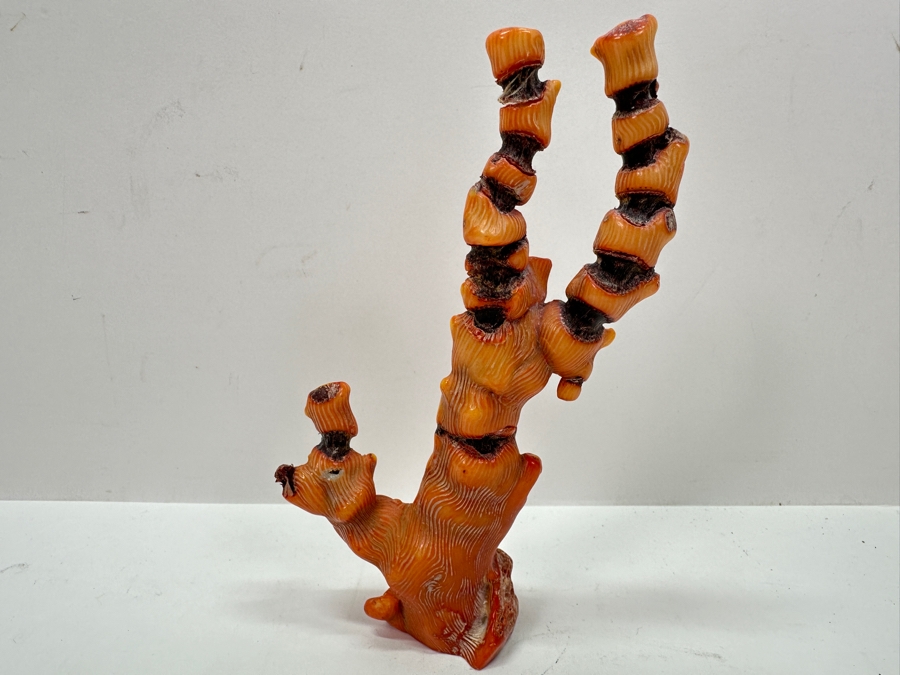 Fossilized Organic Sculptural Red Coral 6.25H 174.5g