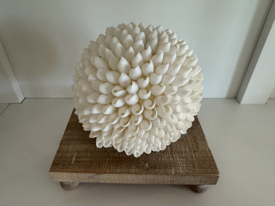 White Decorative Seashell Sphere On Wooden Stand 6'W