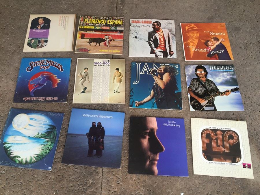 Bulk Vinyl Record Lot #1